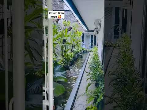 kolam ikan kece kak @rumahzain_bintaro 🤗 🤗 #shorts #desaintaman #inpirasitaman #kolamikan