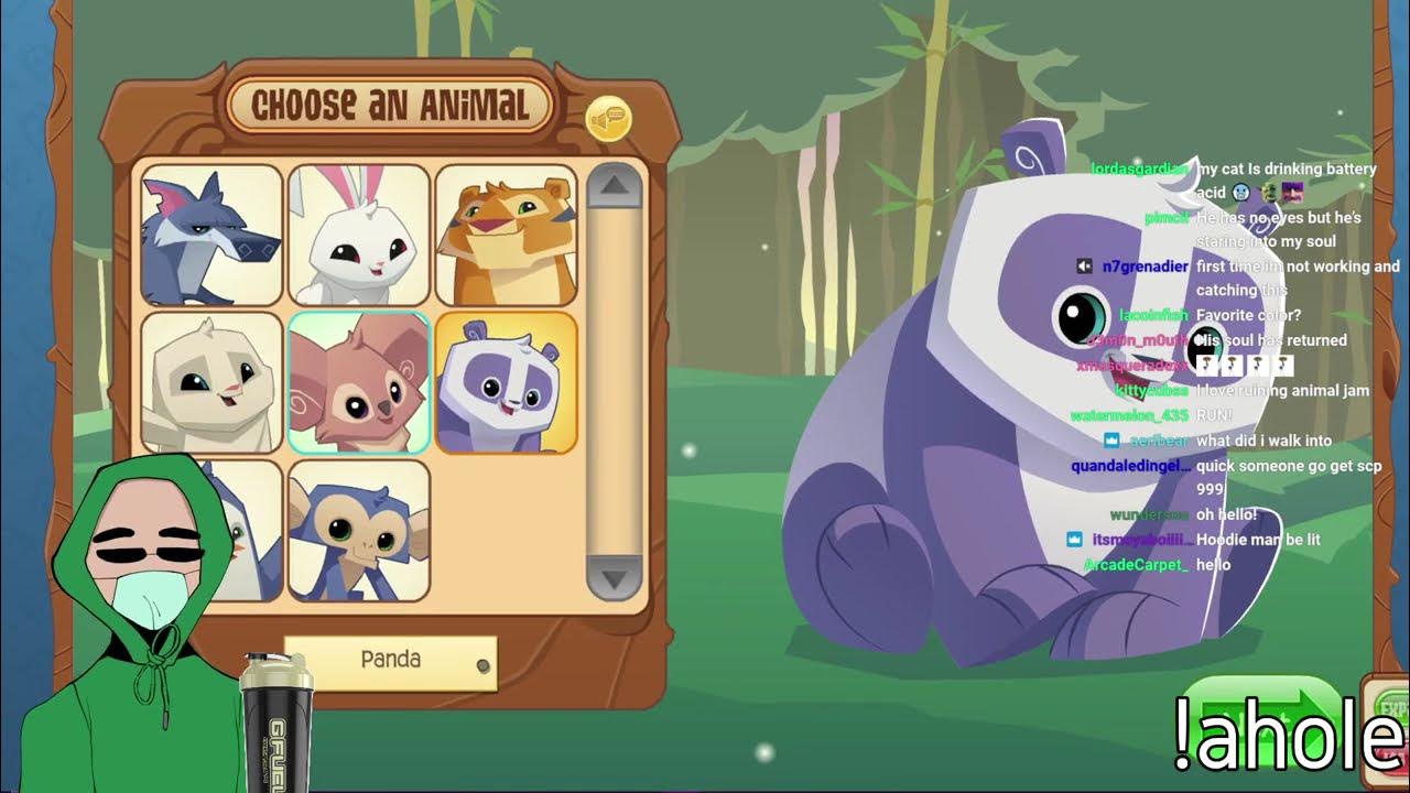 Kwite Plays Animal Jam Classic YouTube kwite-plays-animal-jam-classic-youtube