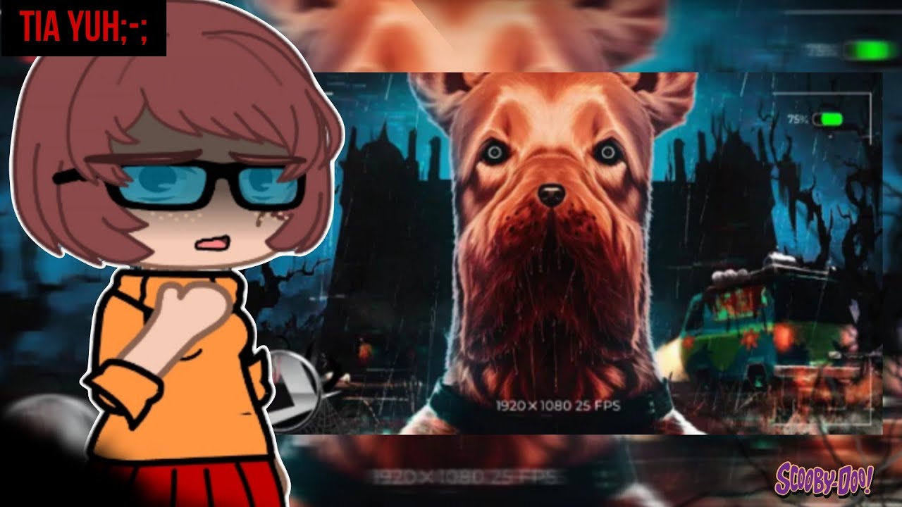 turma do Scooby doo react Scooby dark - último mistério [Scooby doo Au ...