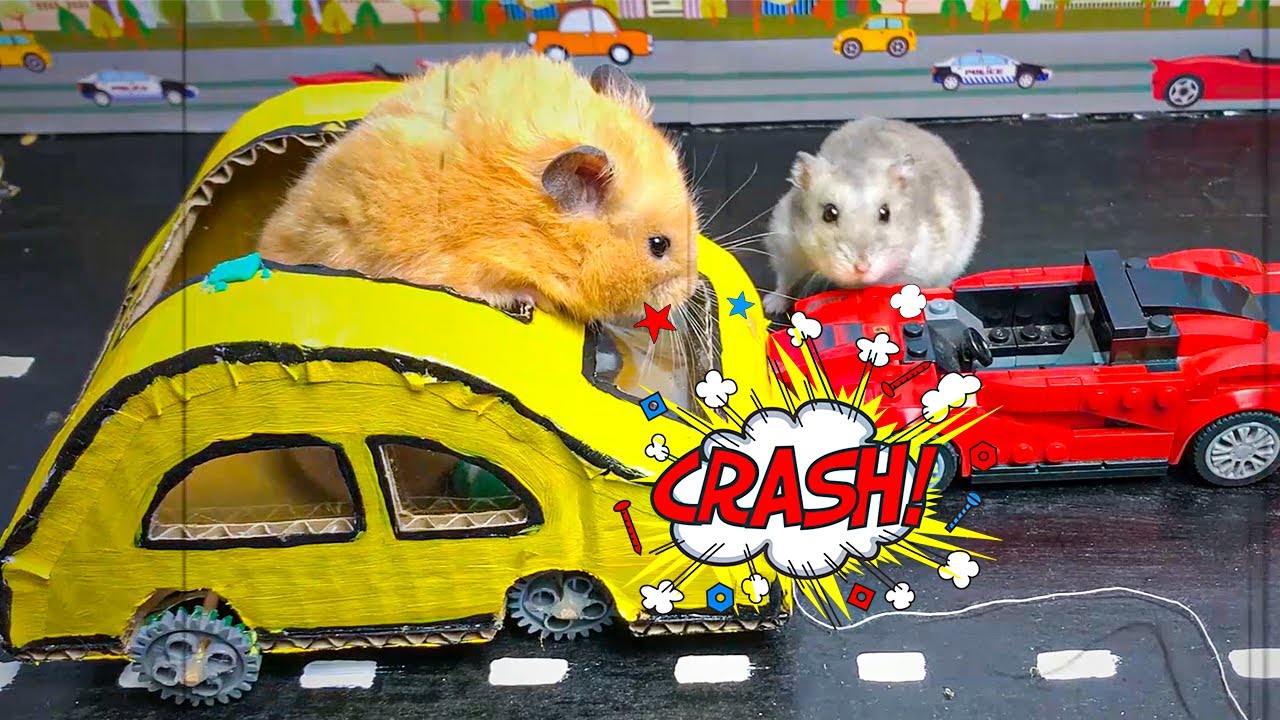 🐹Hamster in Crash Car Stories - Hamster Escapes Maze for Pets In Real ...