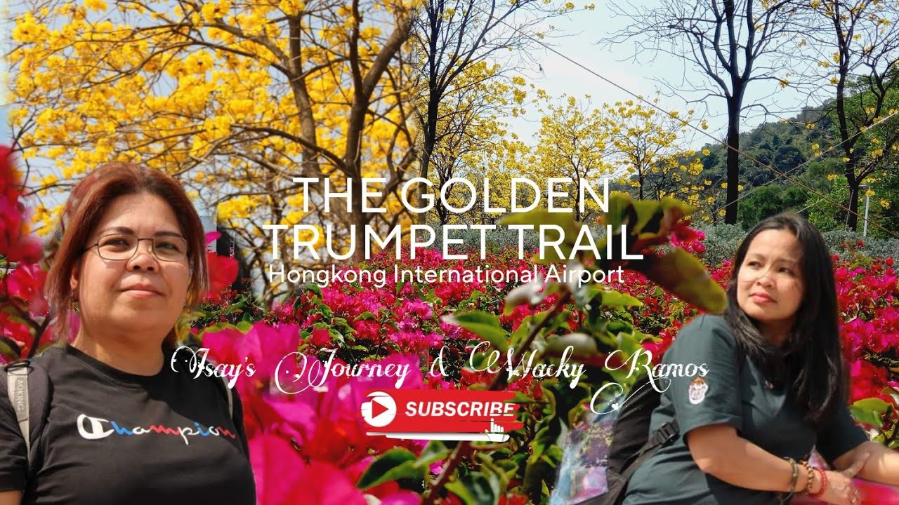 Explore the Colorful HONGKONG INTERNATIONAL AIRPORT Golden Trumpet ...