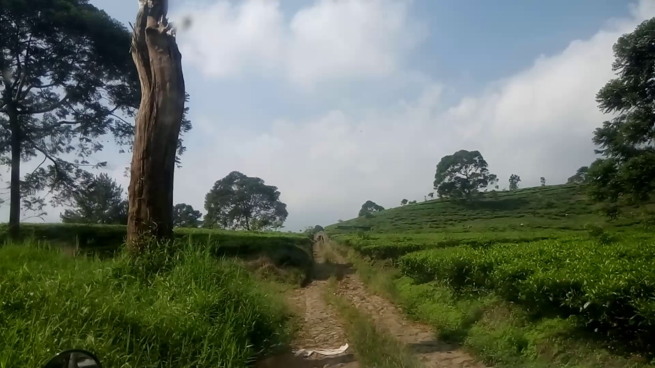 greatest Offroad puncak citeko - YouTube