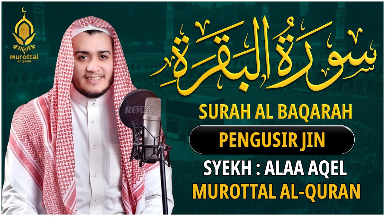 SURAH AL BAQARAH by ALAA AQEL - Setan kabur Dari Rumah - Penenang Hati ...