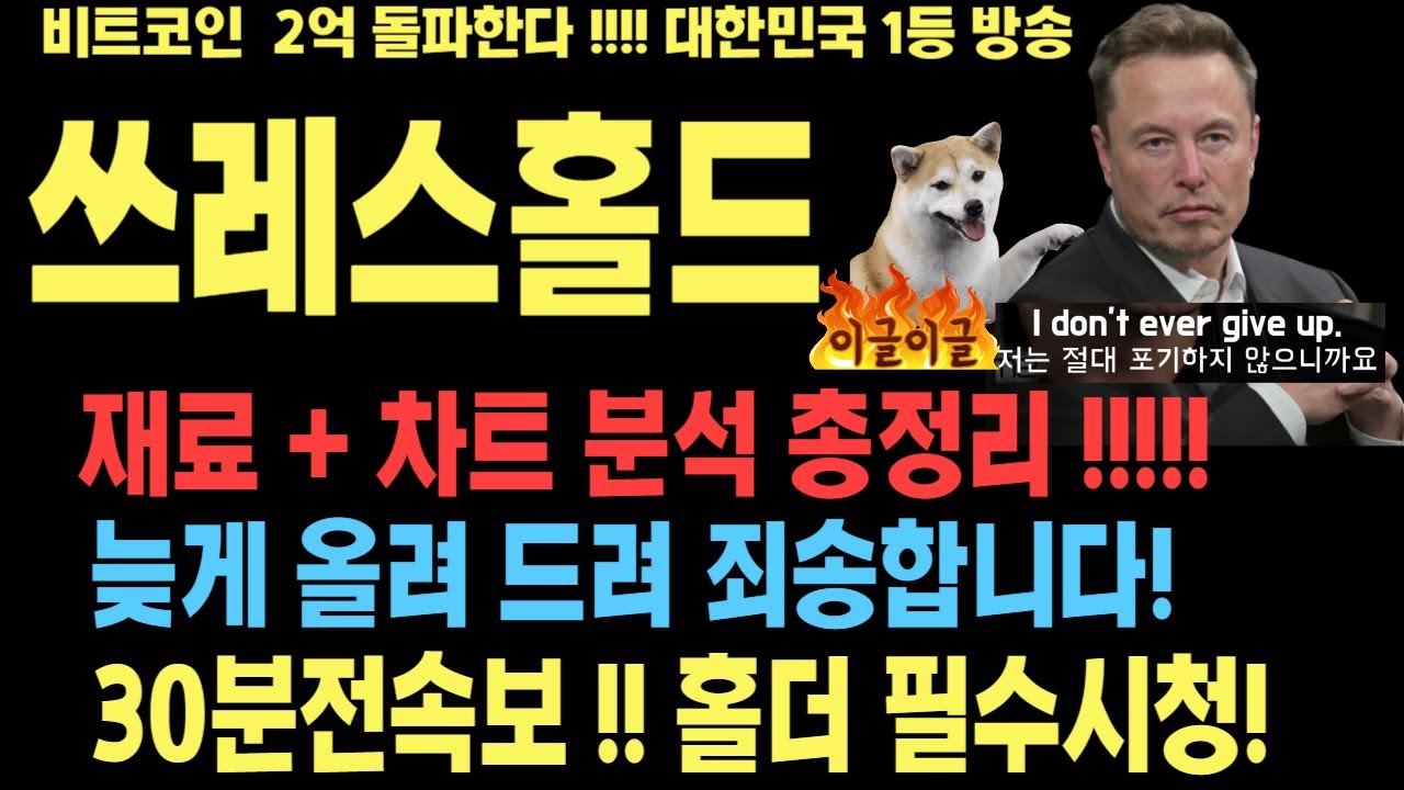 쓰레스홀드 T 쓰레스홀드 코인전망 코인전망 비트코인 이더리움 도지코인누사이퍼 쓰레스홀드코인분석 쓰레스홀드차트분석 Youtube