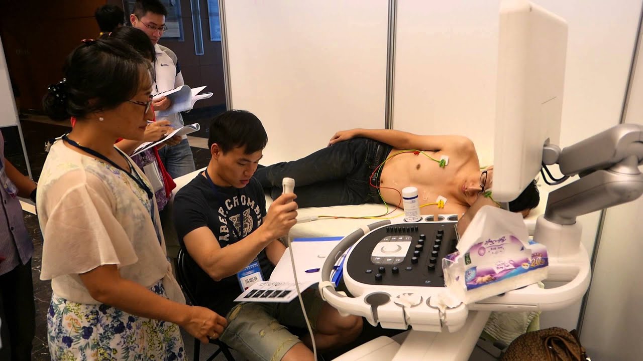 2015 Interactive Simulation-Based TEE & TTE Training Workshop 心臟超音波之終極 ...