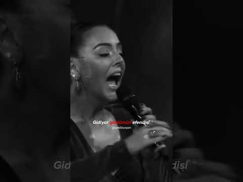 Ebru Gündeş - Gönlümün Efendisi #sarkilidunyam