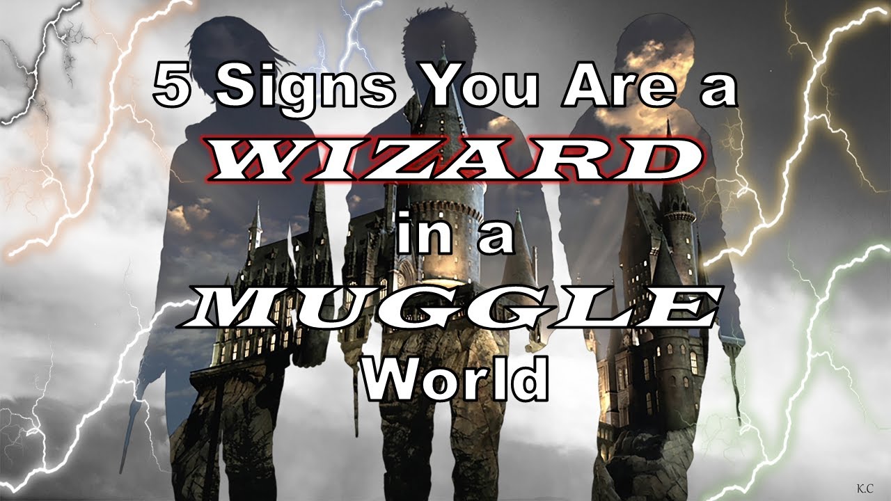 5 Signs You Are a WIZARD in a MUGGLE World #hogwarts #giveaway # ...