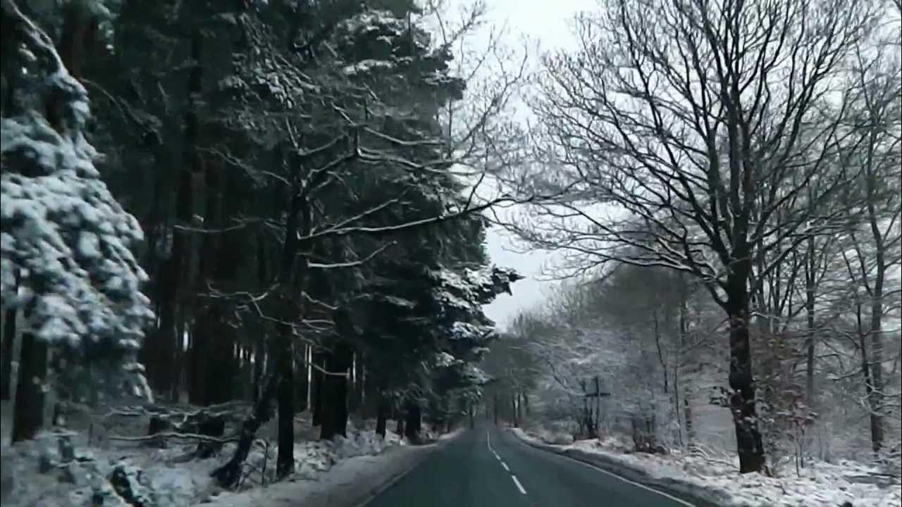 cannock chase - YouTube