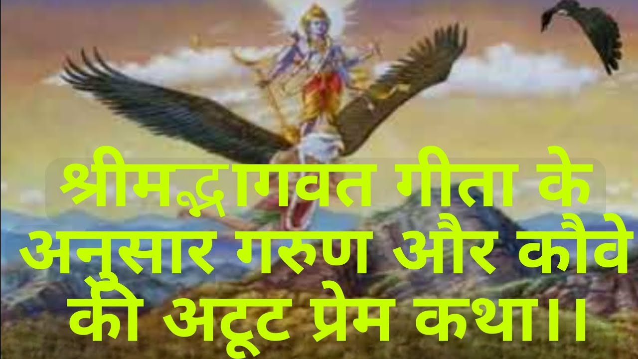 श्रीमद्भागवत गीता के अनुसार गरुण और कौवे की अटूट प्रेम कथा।।Story of ...