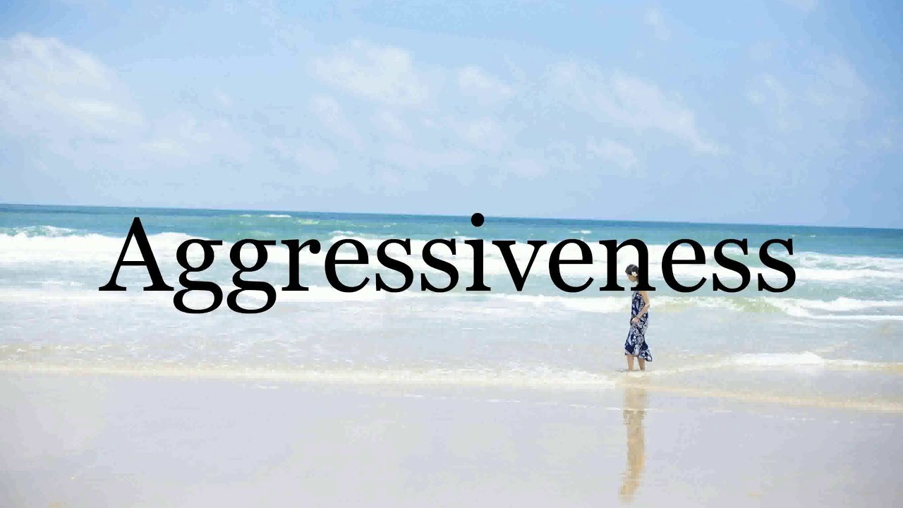 Aggressiveness Meaning