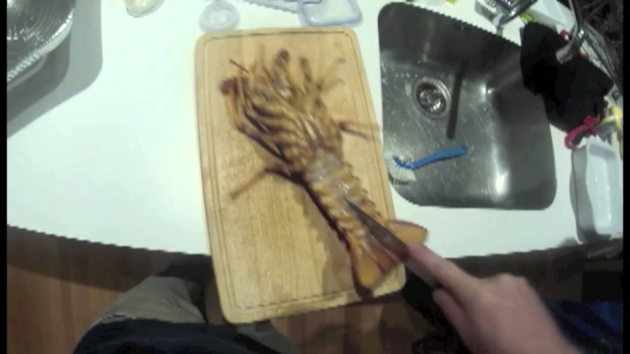 How to gut and cook a crayfish or lobster to avoid paralytic shellfish ...