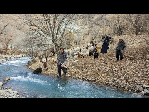 Nomadic life in the mountains | Gathering firewood and building houses for the deadly winter🗻