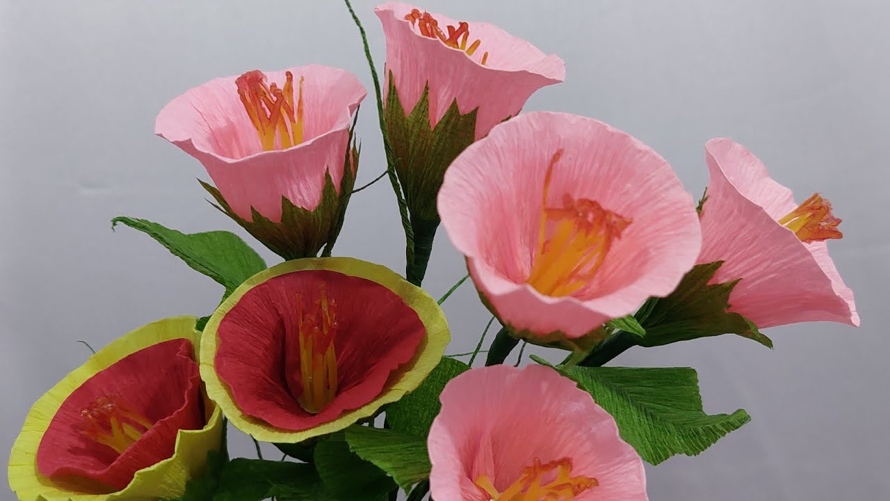 Tutorial membuat bunga morning glory menggunakan kertas crepe. - YouTube