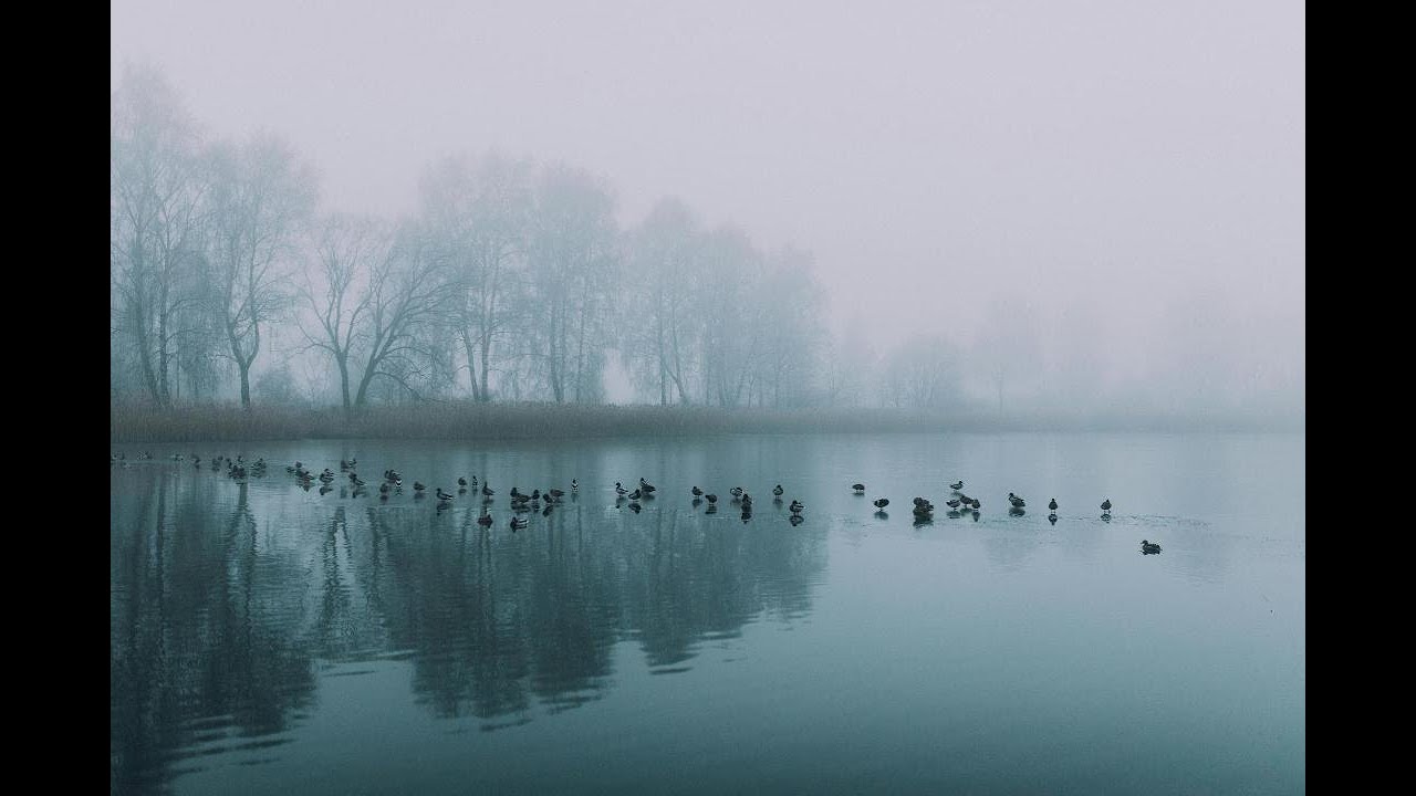 Relaxing rainstorm with birds distant thunder car Nature Sound effects ...
