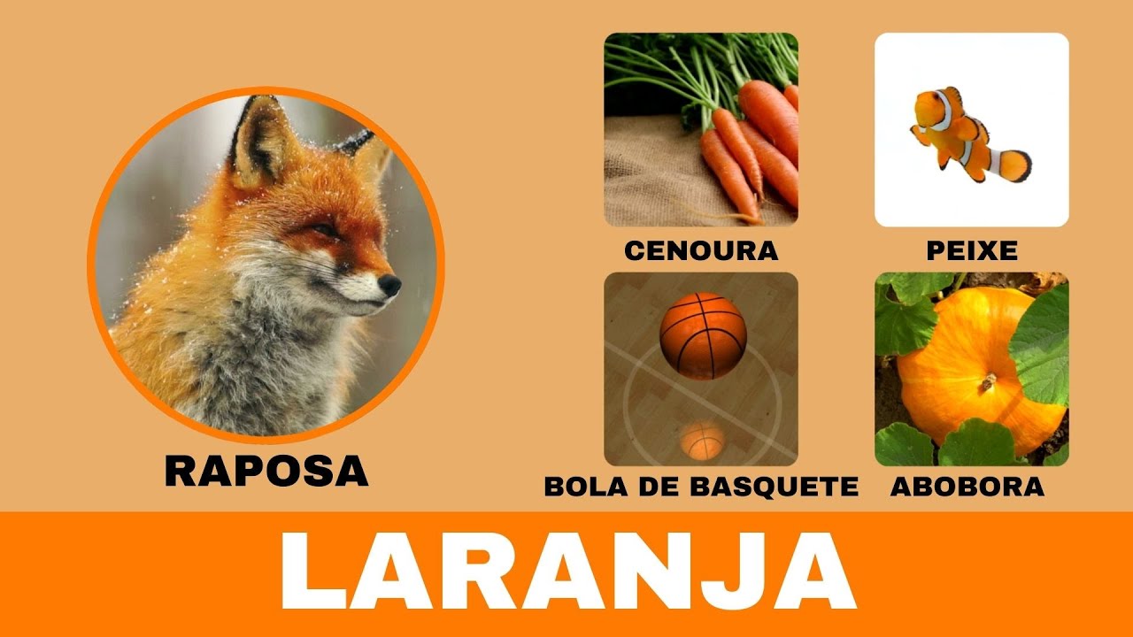 Conhecendo As Cores Para Crianças Identificando Nomes E Itens De Cores Youtube