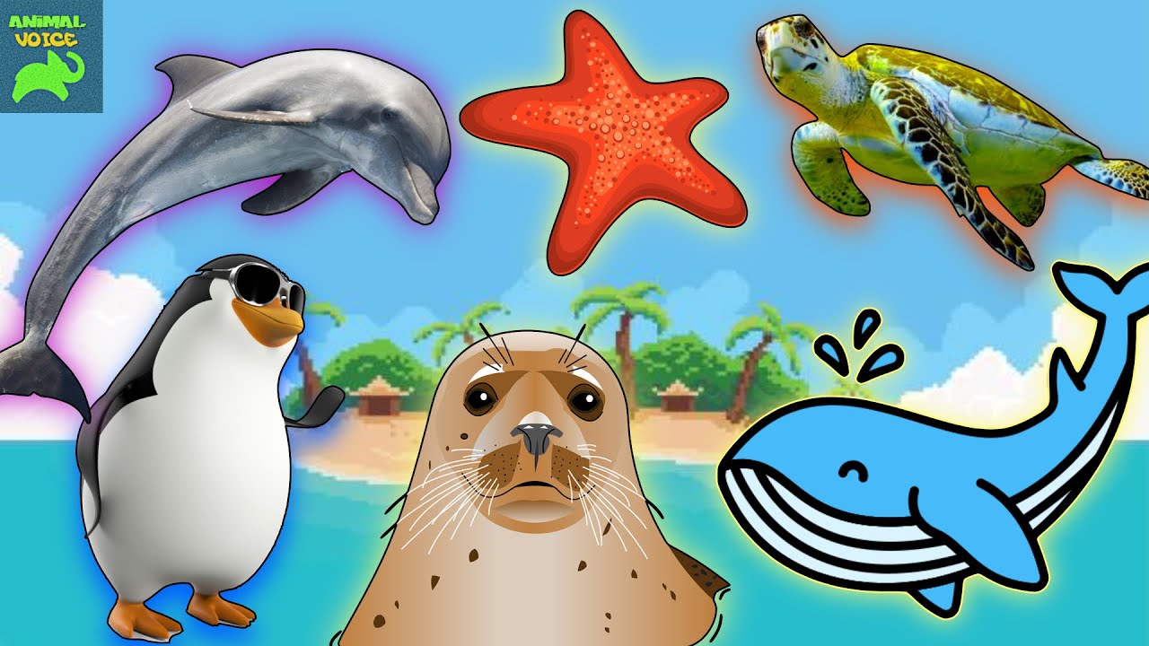 Ocean Animals Sounds | Learn the Animals of the Ocean for Kids and ...