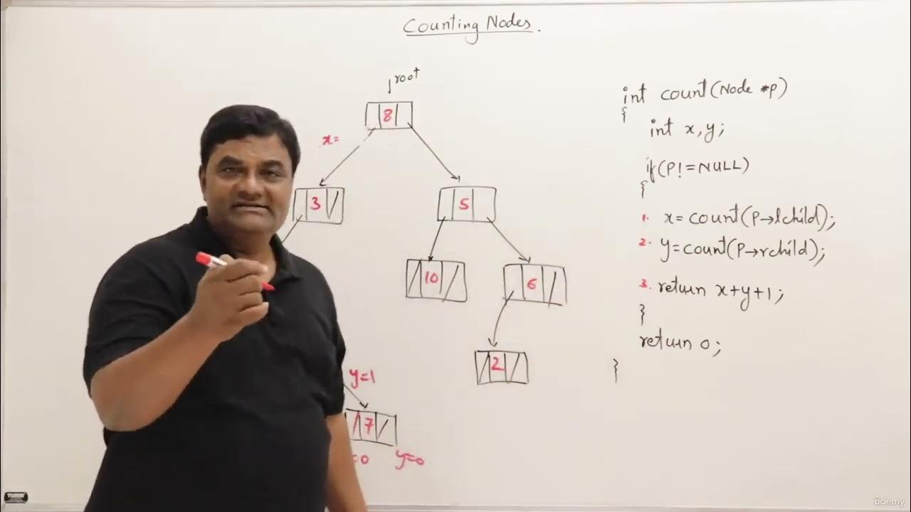031 Height and Count of Binary Tree - YouTube