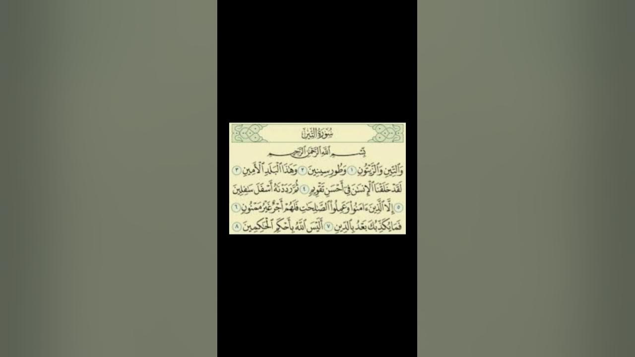 سورة القدر و سورة تين و زيتون و سورة الزلزلة 😃🤲🥰 Youtube