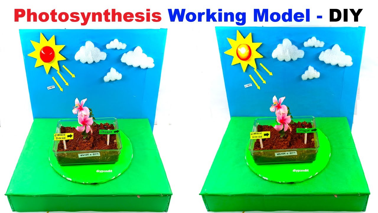 photosynthesis working model for science project exhibition - fair ...