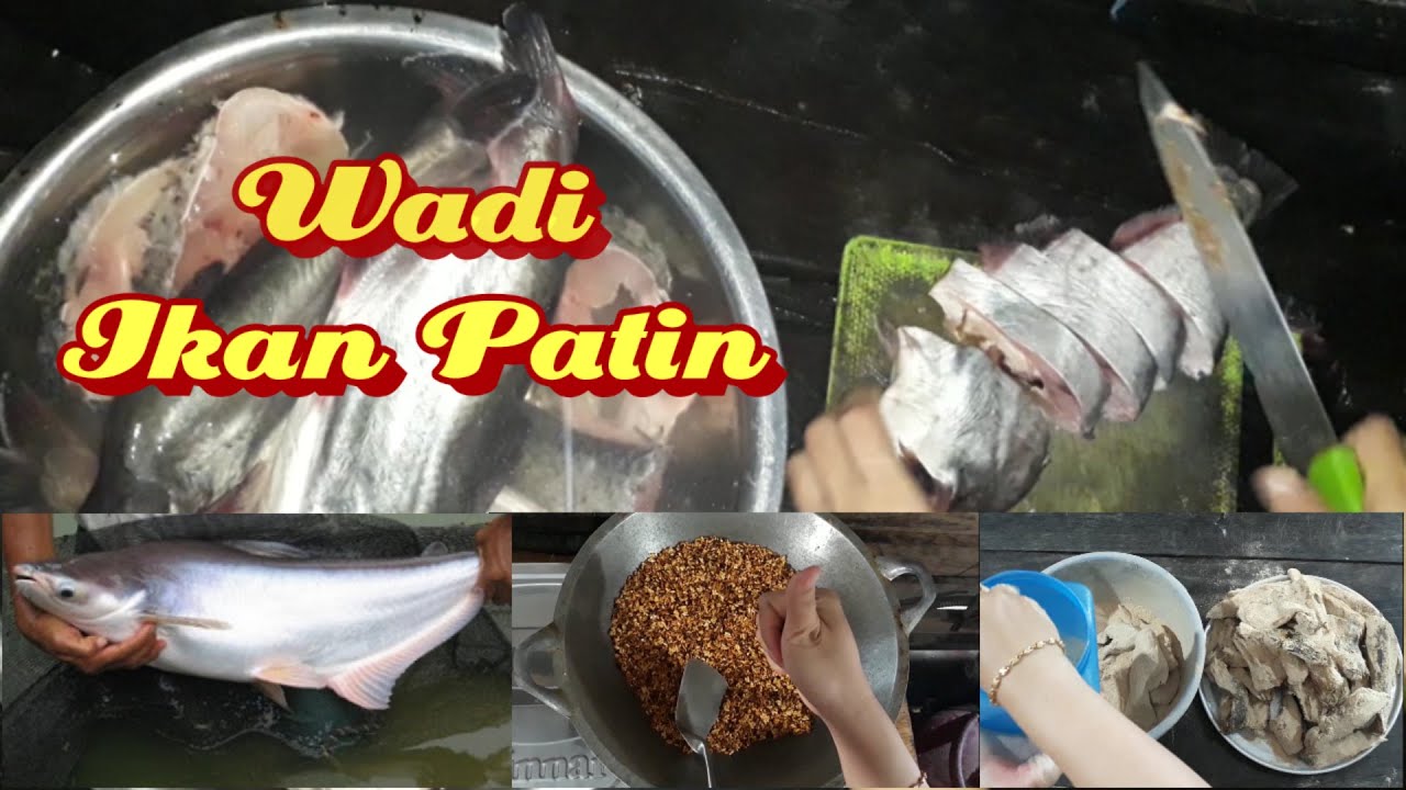 Wadi Ikan Patin || uuuueeennaaaaakk bangeeettttt.... - YouTube