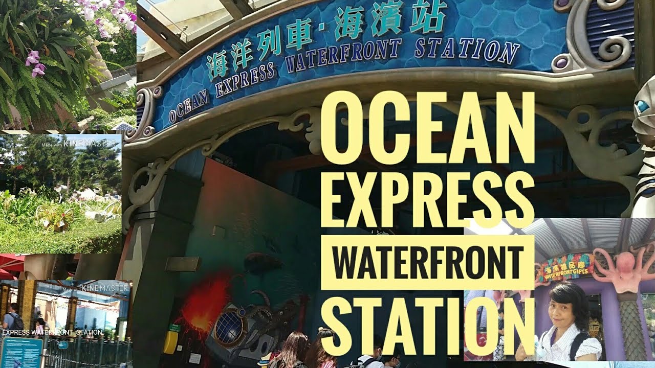 AVIARY OCEAN PARK HONG KONG #OCEAN EXPRESS WATERFRONT STATION - YouTube