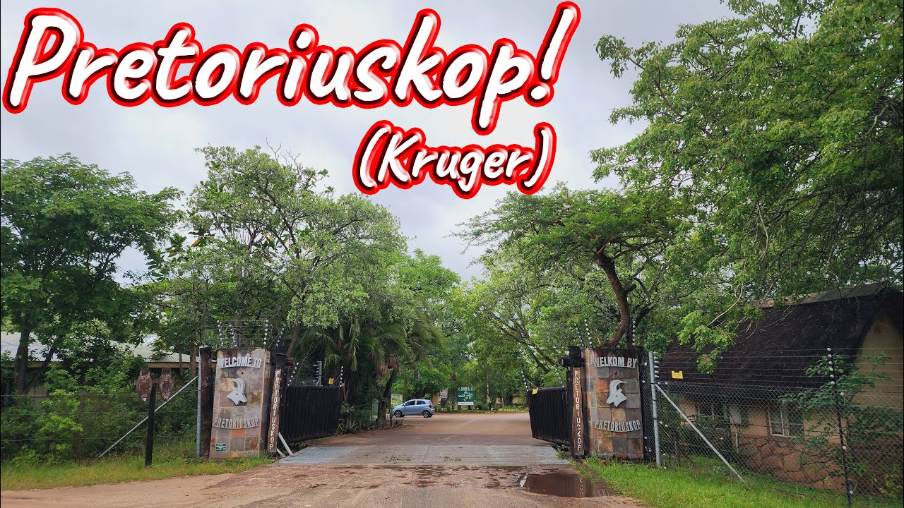 Pretoriuskop Rest Camp! Ep 439 - YouTube
