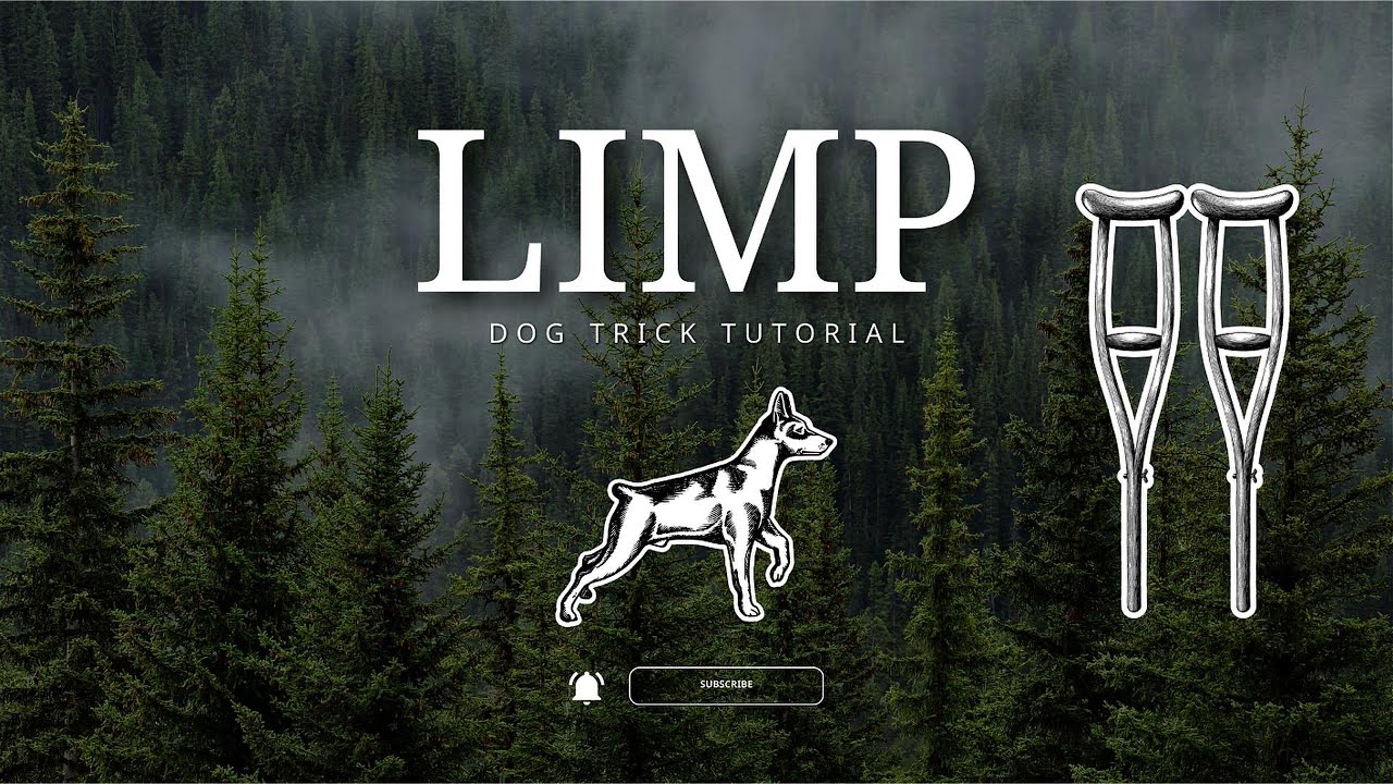 Limp - Fun Dog Trick Tutorial - YouTube