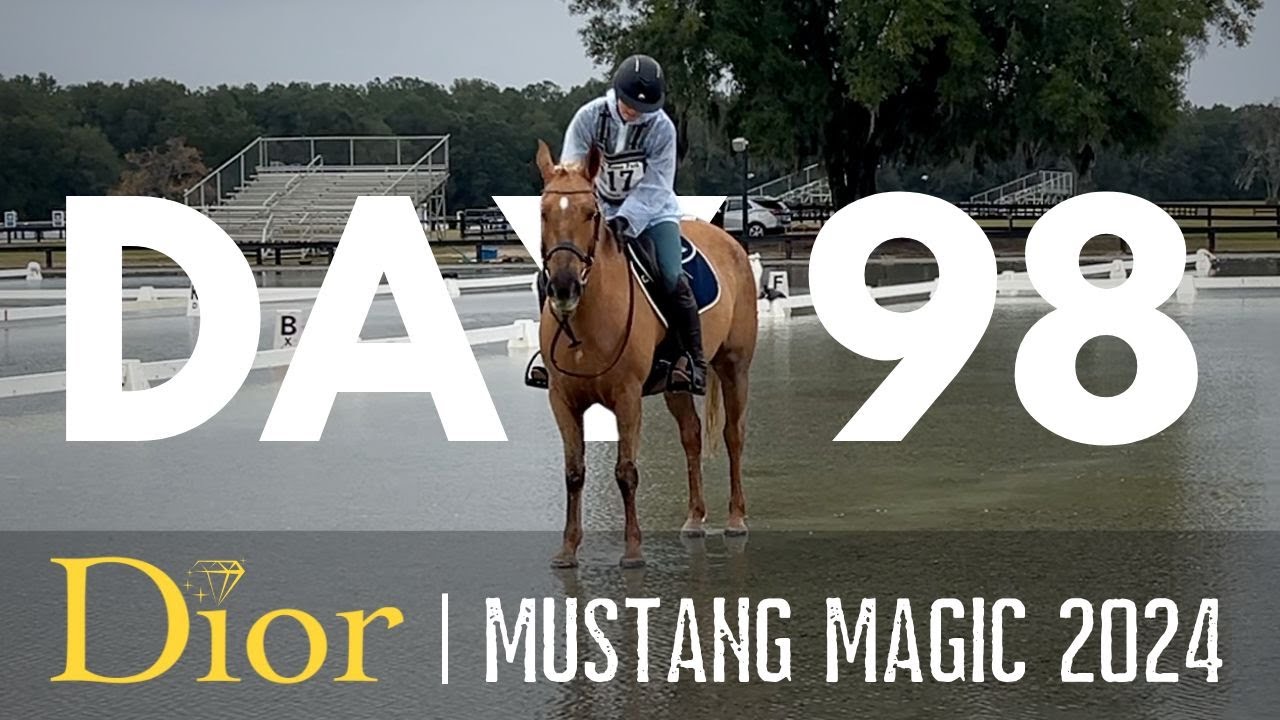 Dior Vlog Day 98: First Horse Show! - YouTube