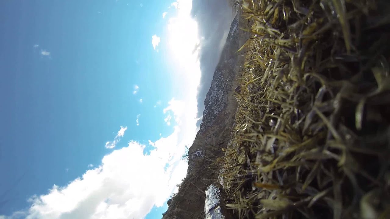dog eats gopro - YouTube