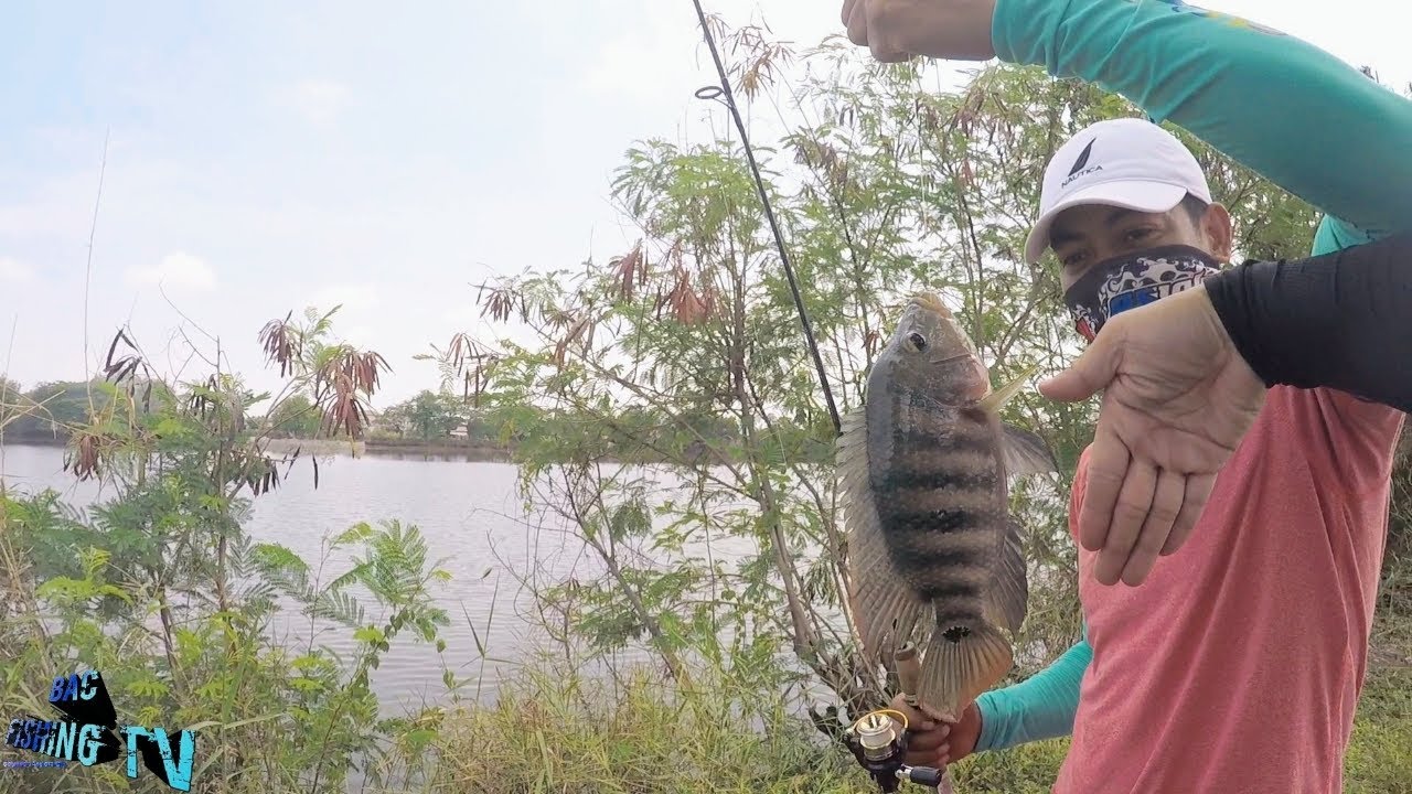 HARVEST SA BAGONG SPOT | MAYAN CICHLID FISHING | CATCH and COOK # ...