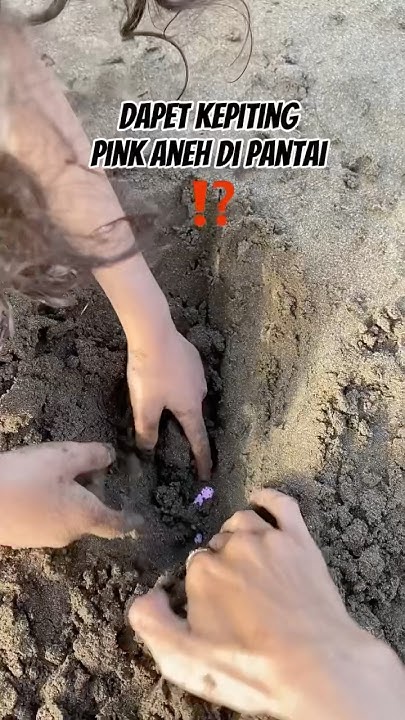 NEMU HARTA KARUN ANEH DI LUBANG KEPITING🙀 #shortviral - YouTube