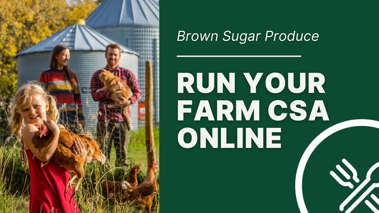 How Brown Sugar Produce Built the CSA Program of Their Dreams - YouTube