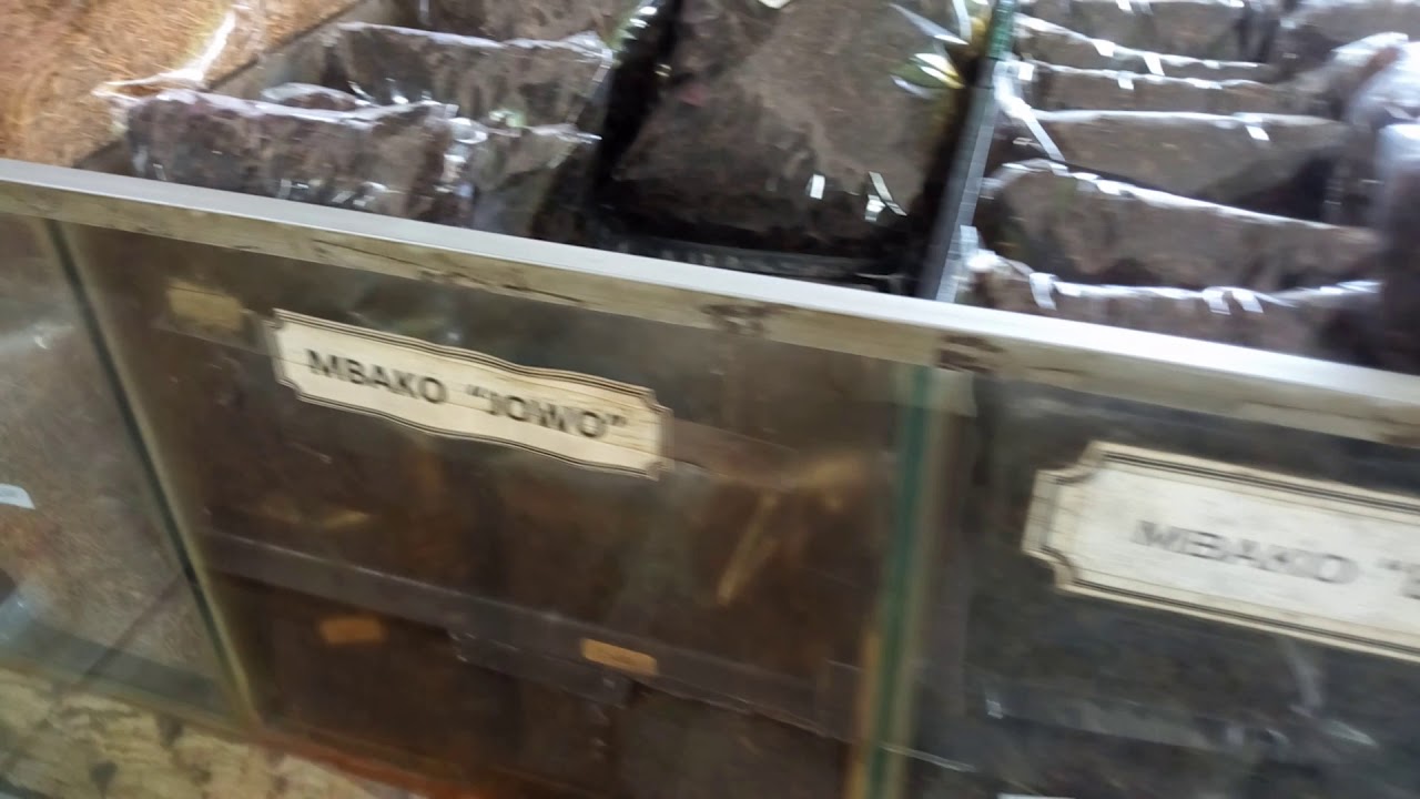 Toko Mbako Sulang - YouTube