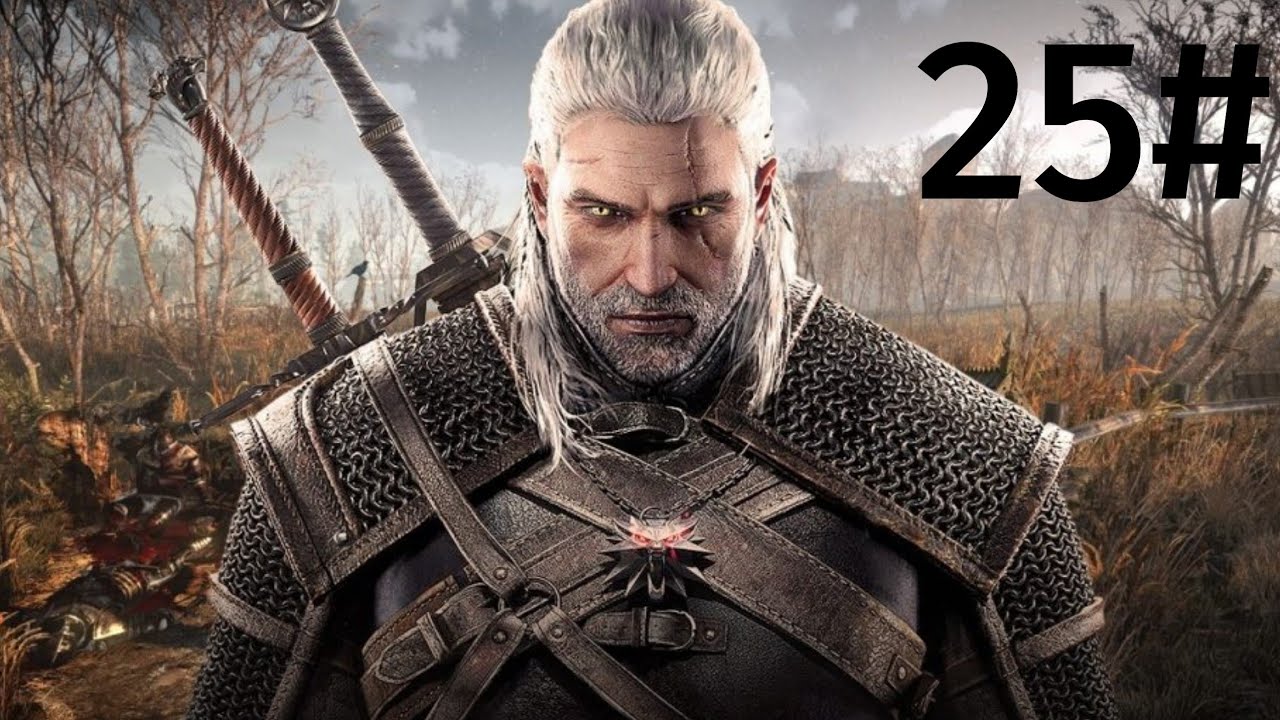 The Witcher 3: Wild Hunt Let's Play fr #25 {Menge} - YouTube