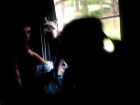 5 year old burps in slow motion - YouTube