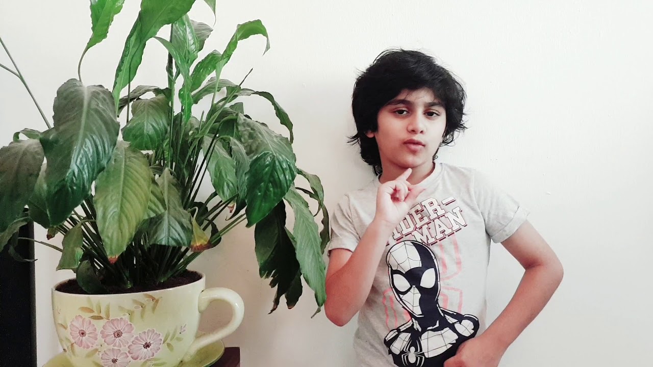 Avy introduces Avys World - YouTube