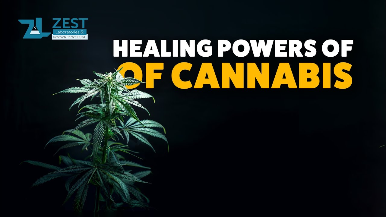 Cannabis: Healing beyond the High - YouTube