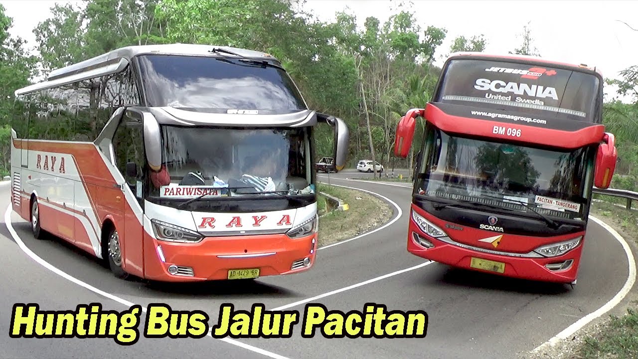 Hunting Bus Jalur Pacitan - Solo Bus Pariwisata Dan AgraMas Masih ...