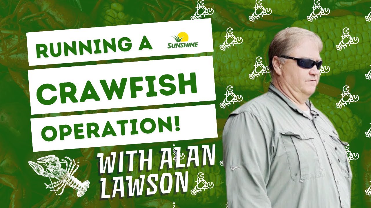 Running a Crawfish Operation with Alan Lawson - YouTube
