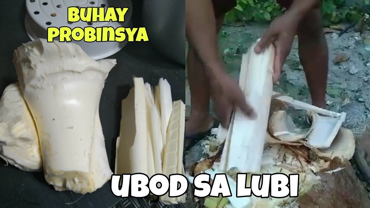 UBOD SA LUBI PARA SA PANIHAPON #buhayprobinsya | Maimai and family ...