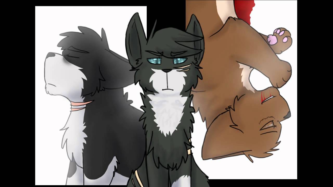 Take My Hand Doctor Mew MAP Part 27 - YouTube