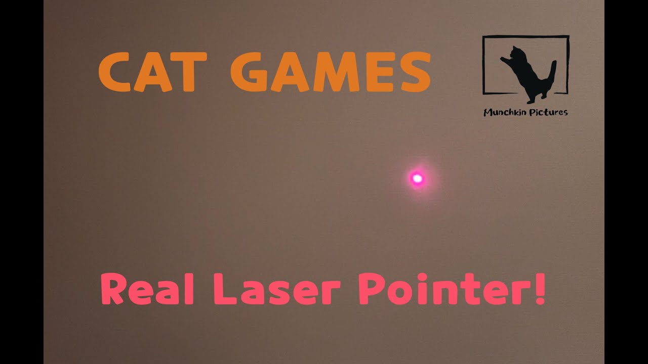 Cat Games - Real Laser Pointer! - YouTube