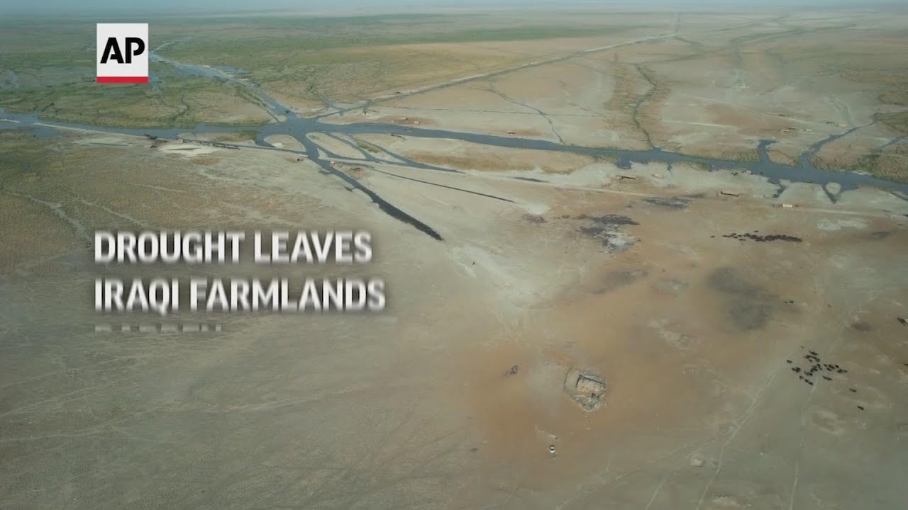 Drought leaves Iraqi farmlands barren - YouTube