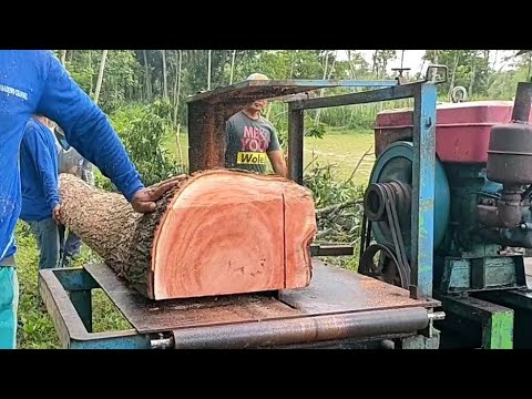 pekerjaan yang cukup melelahkan, buat papan untuk bak truk pakai gergaji serkel rakitan