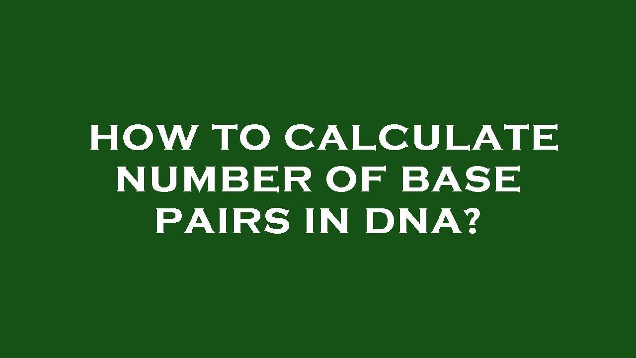 How to calculate number of base pairs in dna? - YouTube