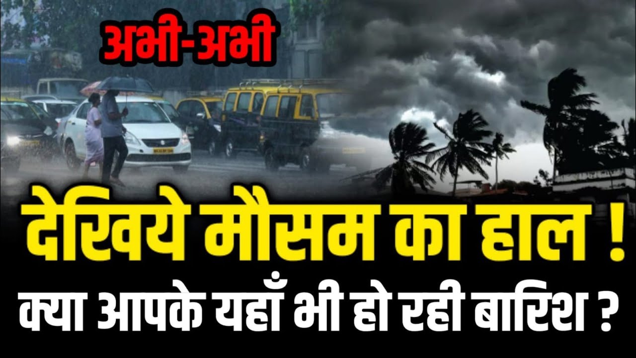 Maharashtra News Today Live | Mumbai News Today Live - YouTube