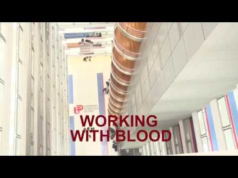 Working With Blood.  cortometraje