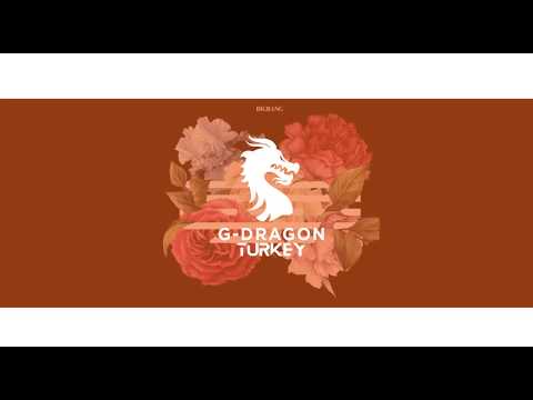 BIGBANG-FLOWER ROAD [TÜRKÇE ALTYAZILI]