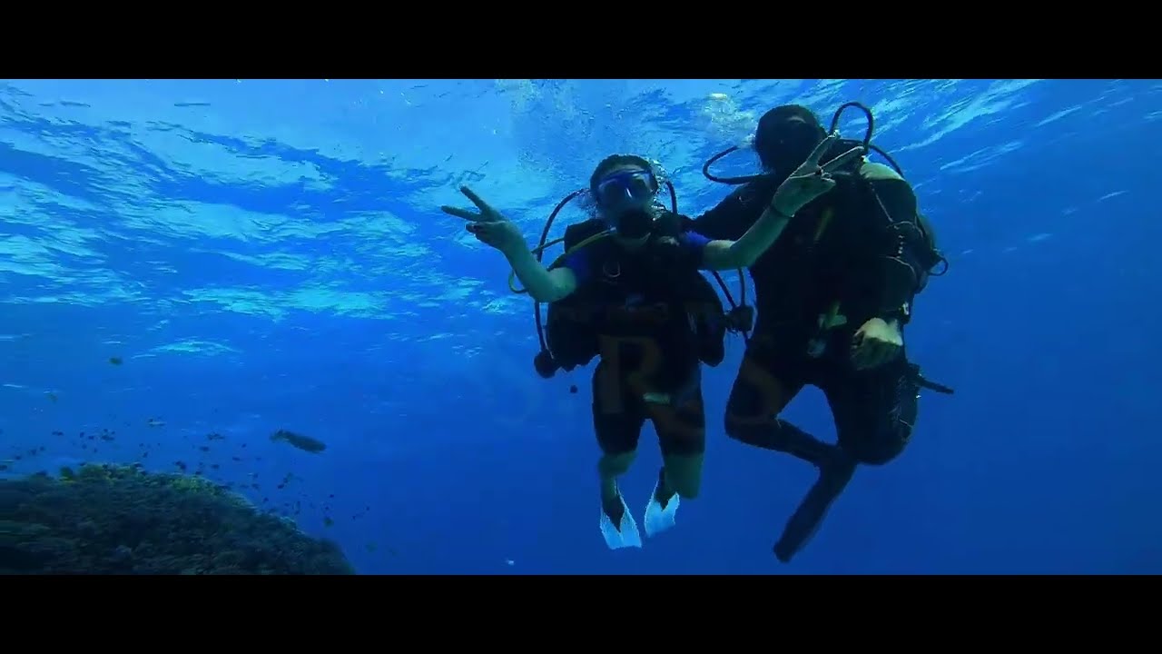 #see_red_sea Memories Vibe Diving shot - YouTube