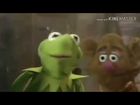 Kermit the Frog: Running Gag - YouTube